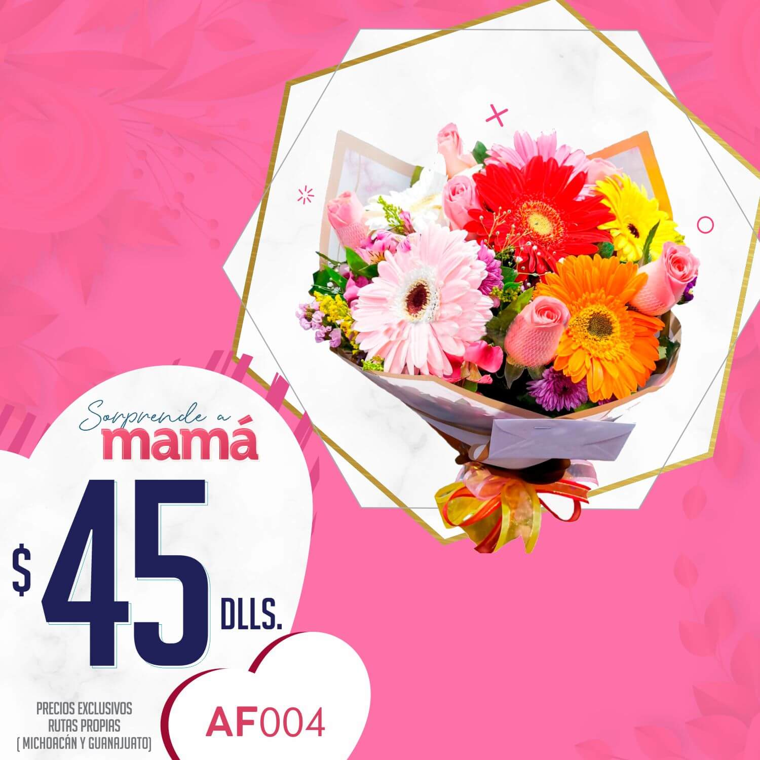 AF004 | OrderExpress Paquetería y Mensajería Internacional